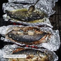 30 Delicious Fall Fish Recipes to Warm Up Your Dinner Table