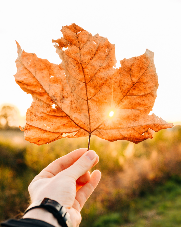 50 September Quotes to Romanticize Your Fall Vibes